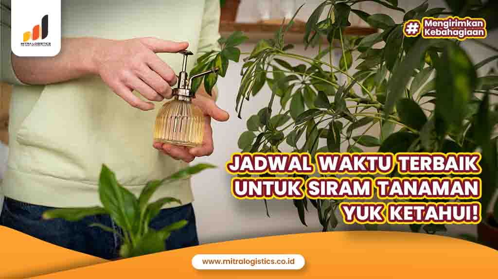 Jadwal Waktu Terbaik untuk Siram Tanaman, Yuk Ketahui!